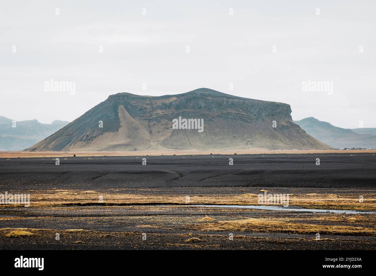 Black volcanic sand beaches in Iceland, a view towards the mainland ...