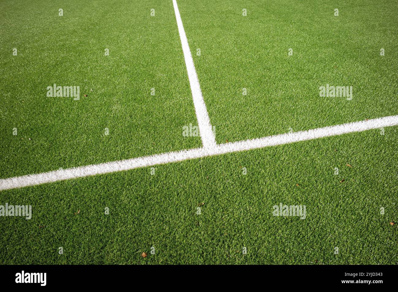 Detail of a football pitch with clear marking lines on green artificial ...