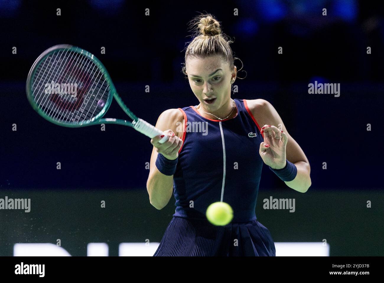 14th November 2024; Palacio de Deportes Jose Maria Martin Carpena Arena ...