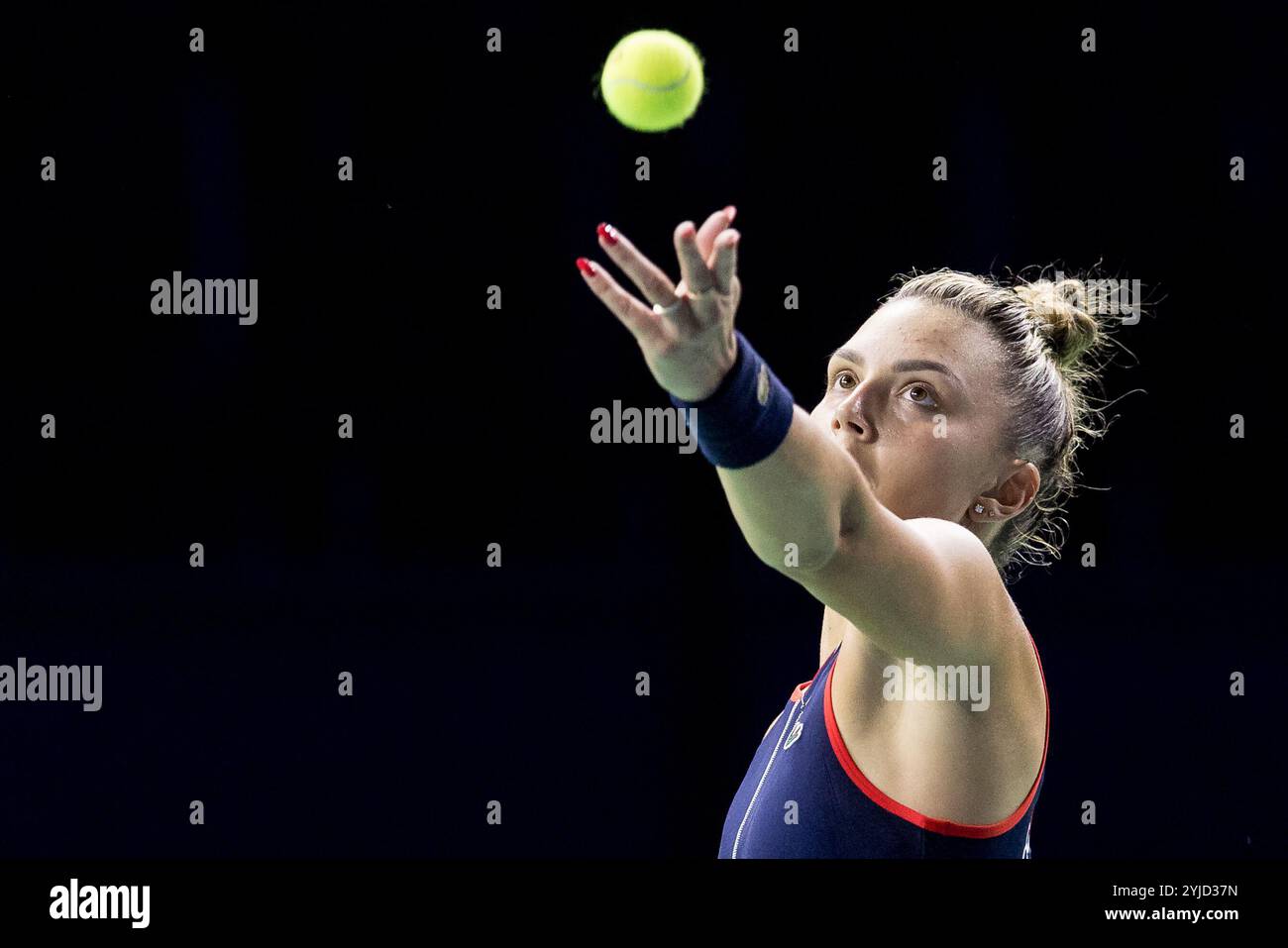 14th November 2024; Palacio de Deportes Jose Maria Martin Carpena Arena ...