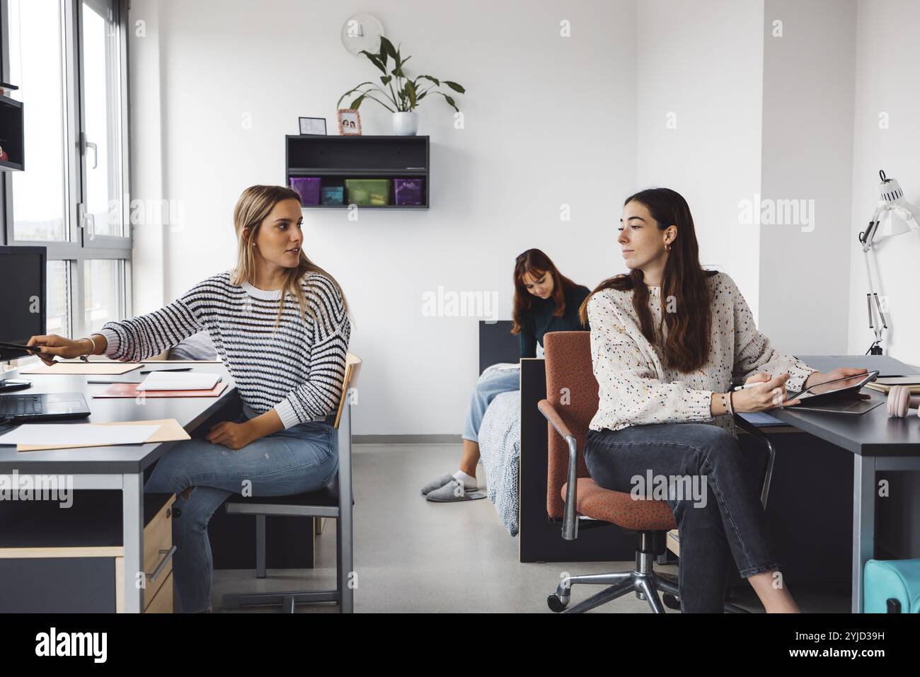 Group of three roommates, college student, young caucasian women ...