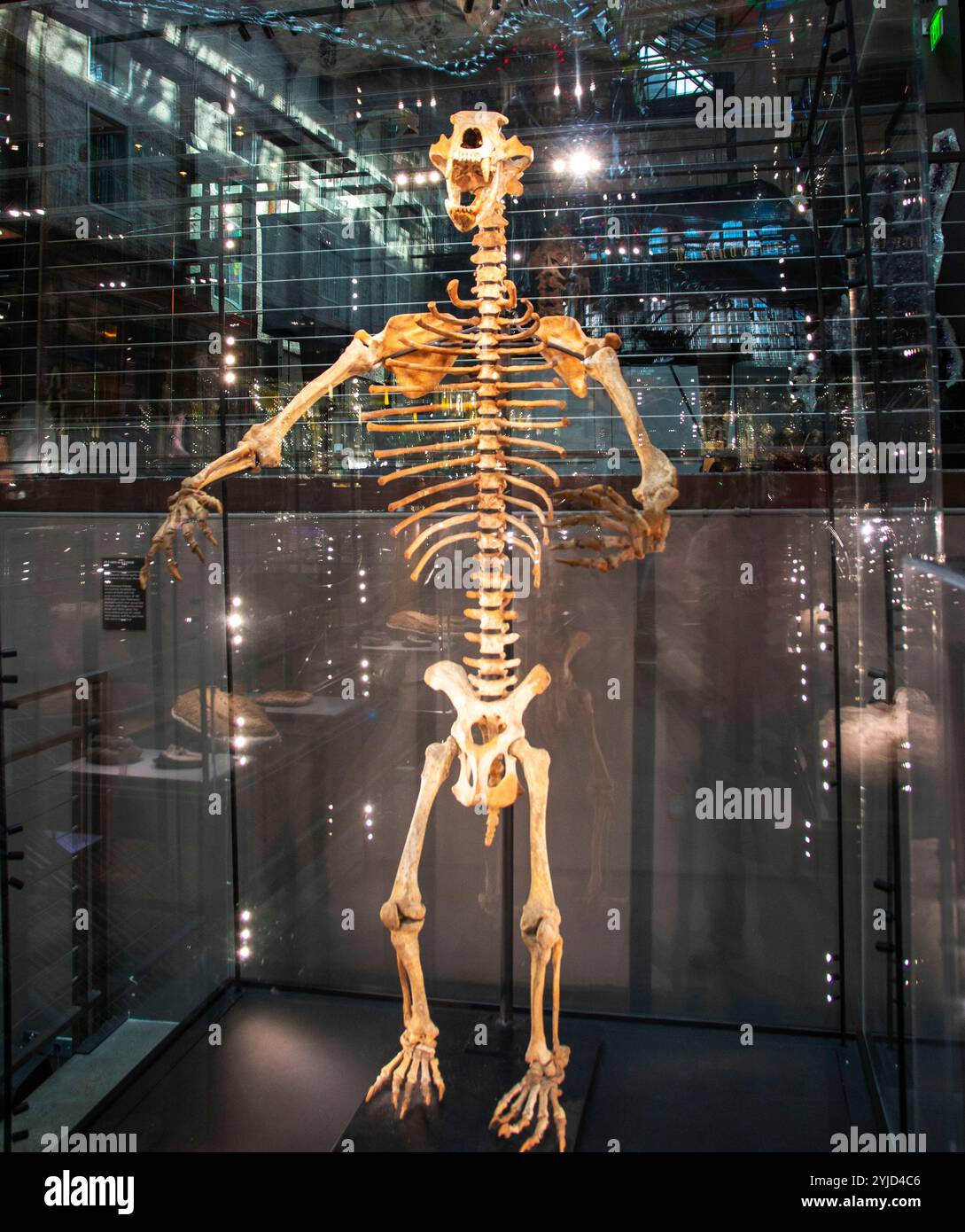 Savannah, Georgia, USA - 20 February 2024: Visitors admire the ...