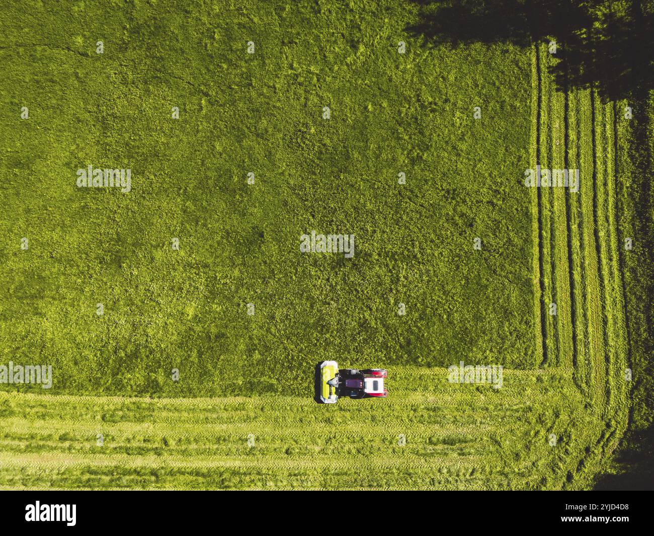 Aerial top view fresh grass hi-res stock photography and images - Alamy