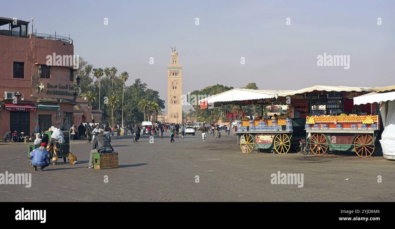 Marrakesh early morning hi-res stock photography and images - Alamy