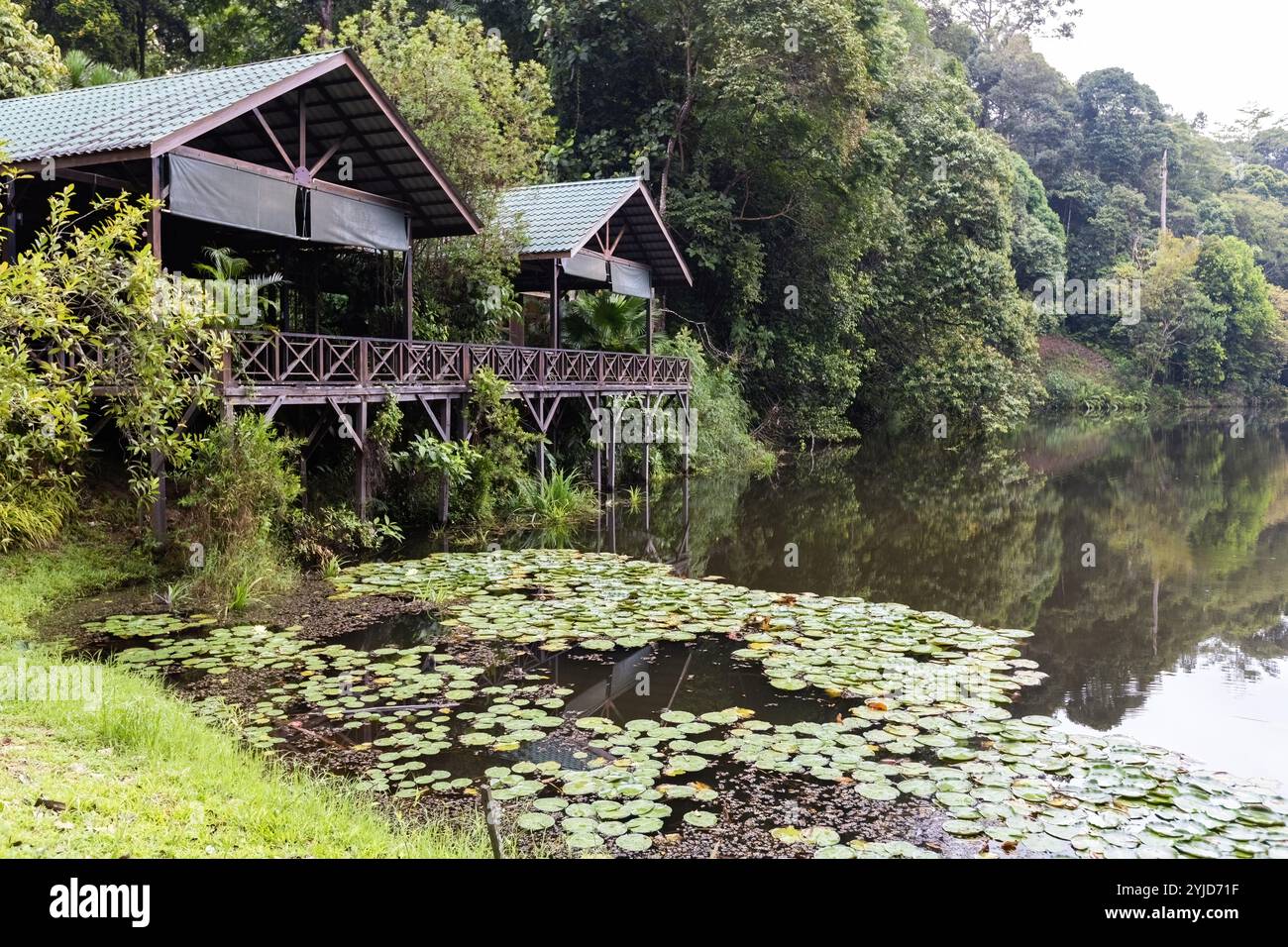 Beautiful houses on the lake in Borneo Rainforest Discovery Center ...