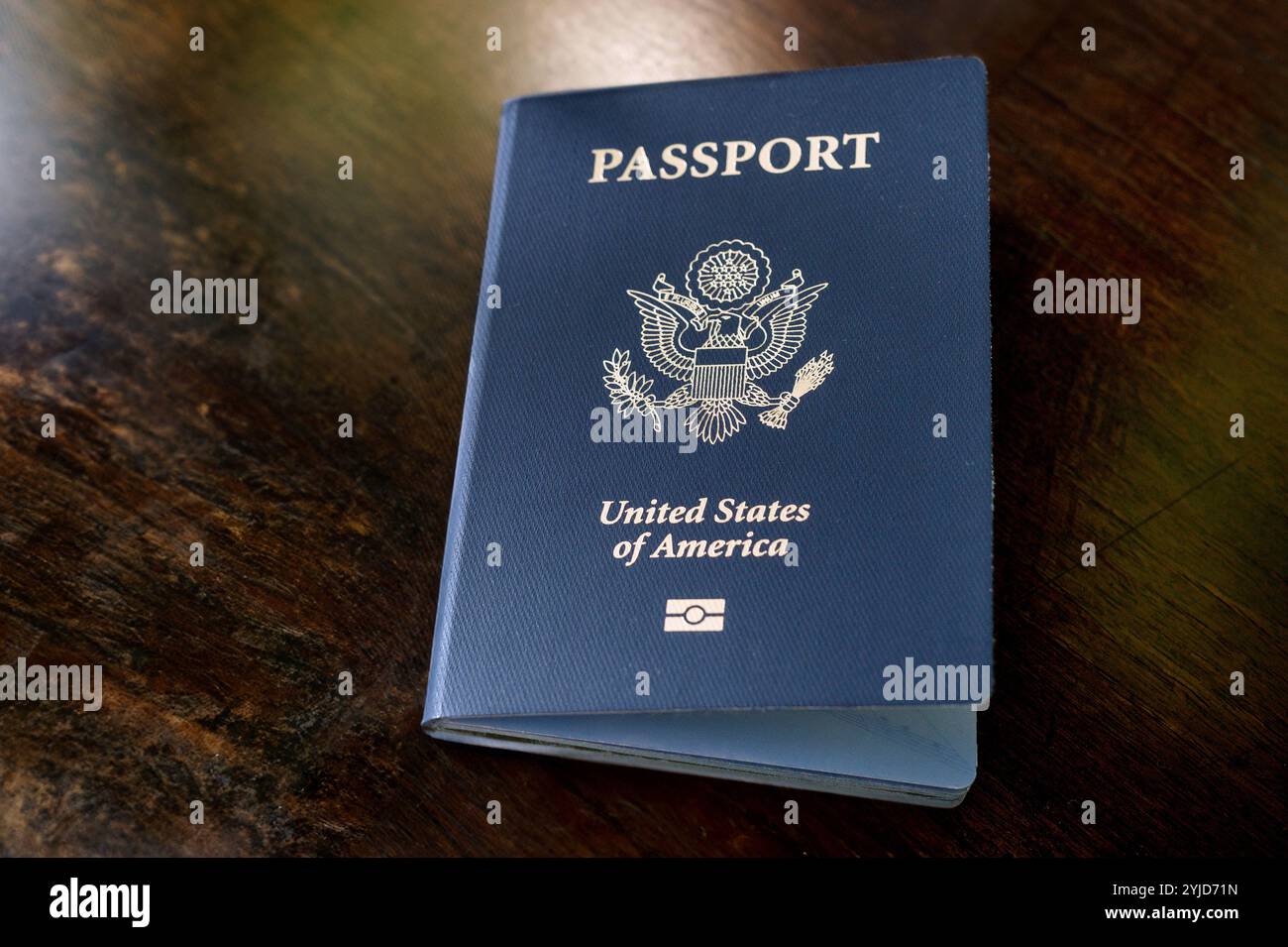 Citizen blue passport book printed with gold colored symbol and words ...