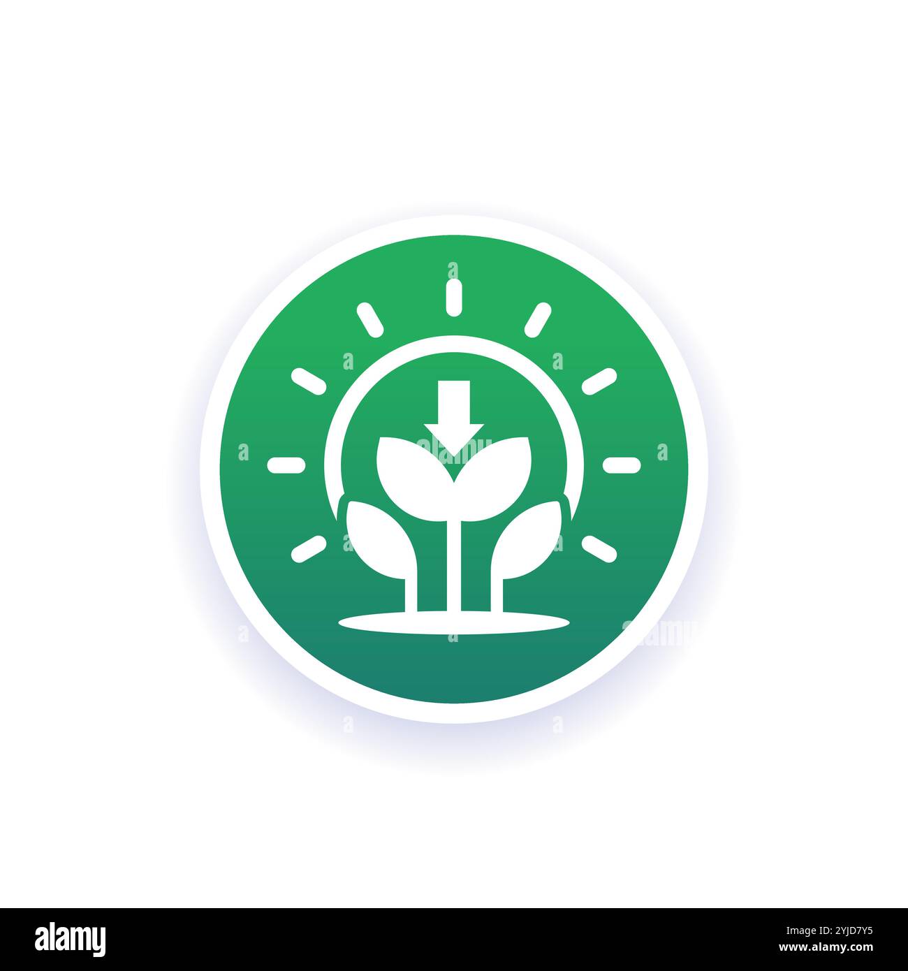 photosynthesis icon with plant and sun, vector Stock Vector Image & Art ...