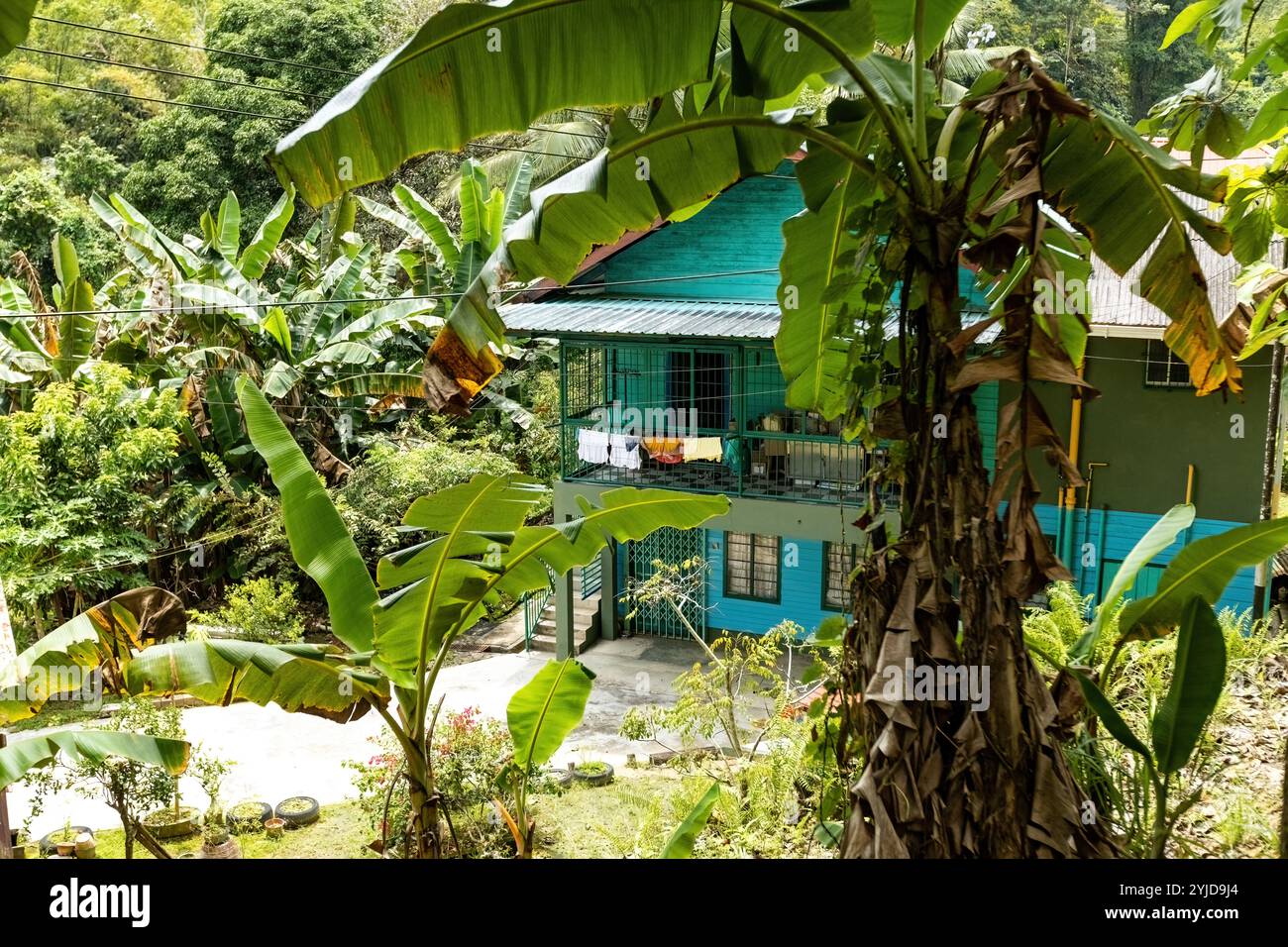 Traditional Malaysia house in Sandakan Sabah province Borneo Malaysia ...