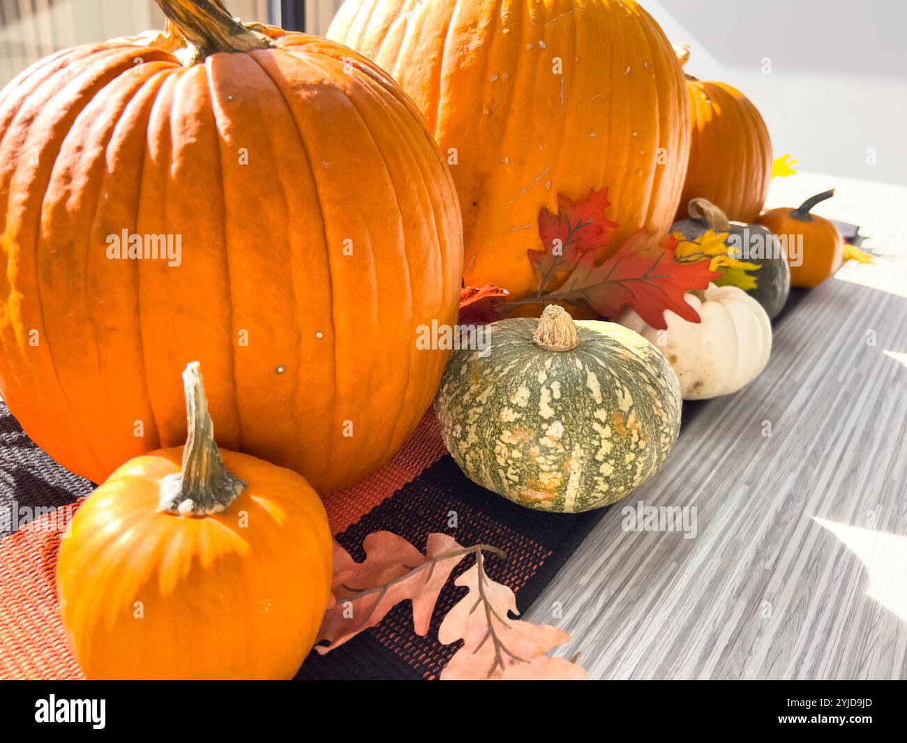 Autumn Pumpkin and Gourd Centerpiece with Fall Leaves Stock Photo - Alamy