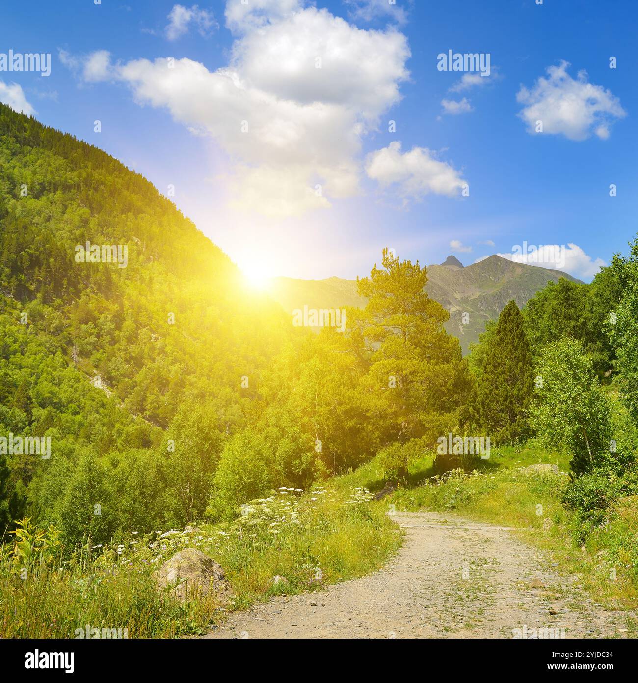 Mountains covered forest beautiful hi-res stock photography and images ...