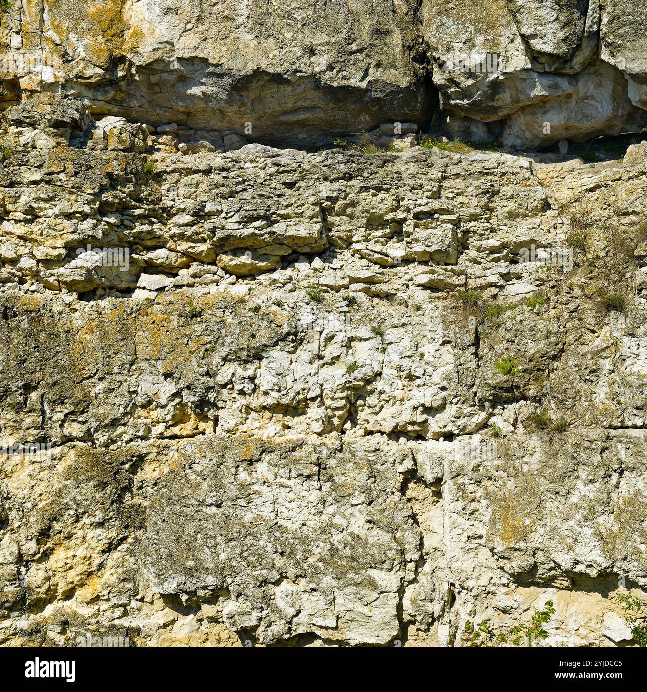 Shelly soil hi-res stock photography and images - Alamy