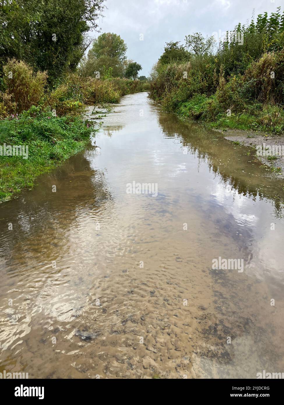 Rainwater running off road hi-res stock photography and images - Alamy