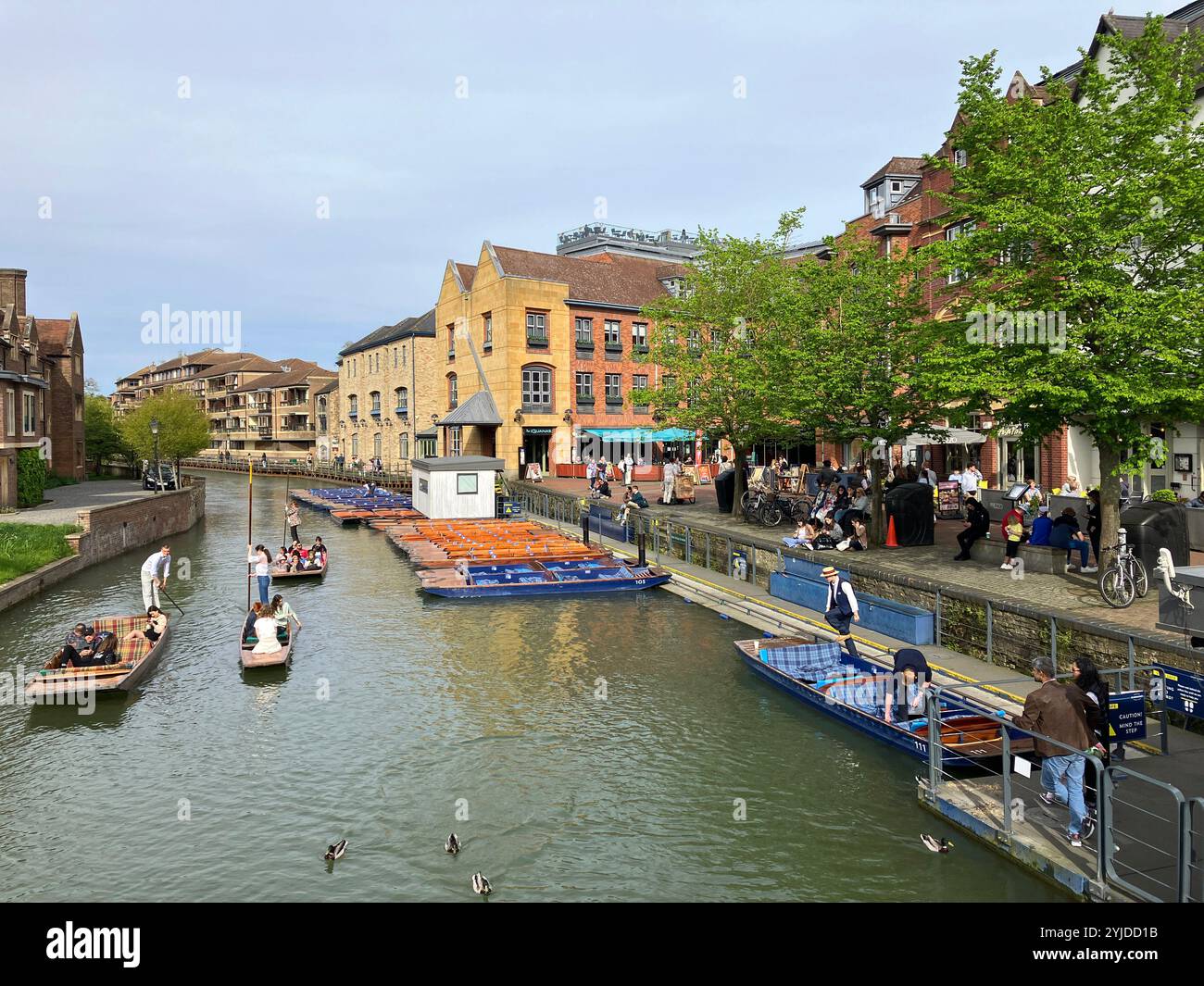 Punting on the River Cam, a popular tourist activity and attraction ...