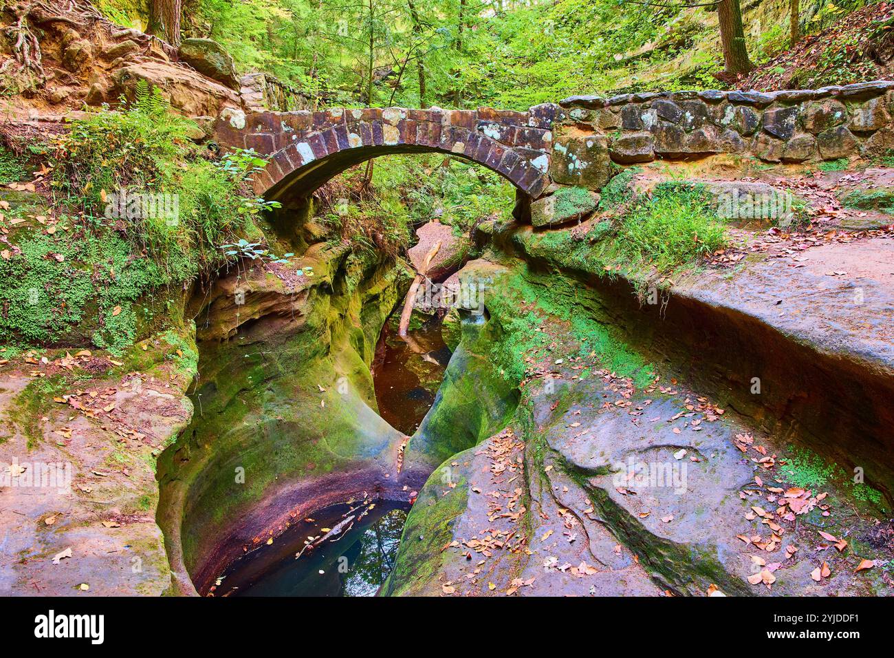 Stone Bridge Over Gorge with Lush Forest Canopy in Hocking Hills Stock ...