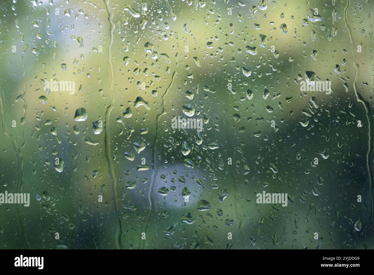 Rain drops on glass transparent window with green blurred background of garden. Drops run down ...