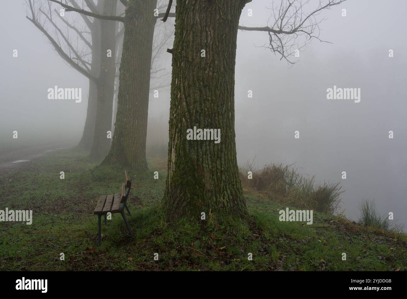 Bad bench hi-res stock photography and images - Alamy