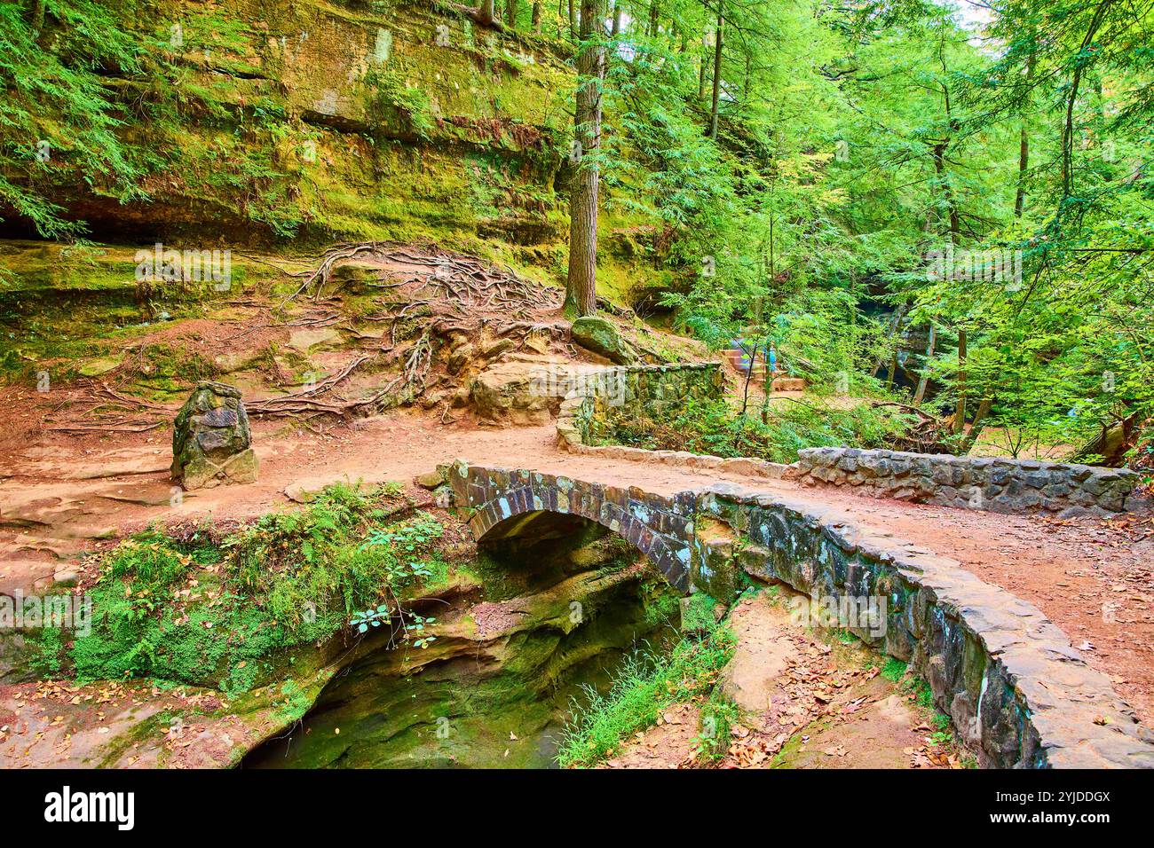 Stone Bridge Over Stream on Old Mans Cave Trail Ohio Eye-Level View ...