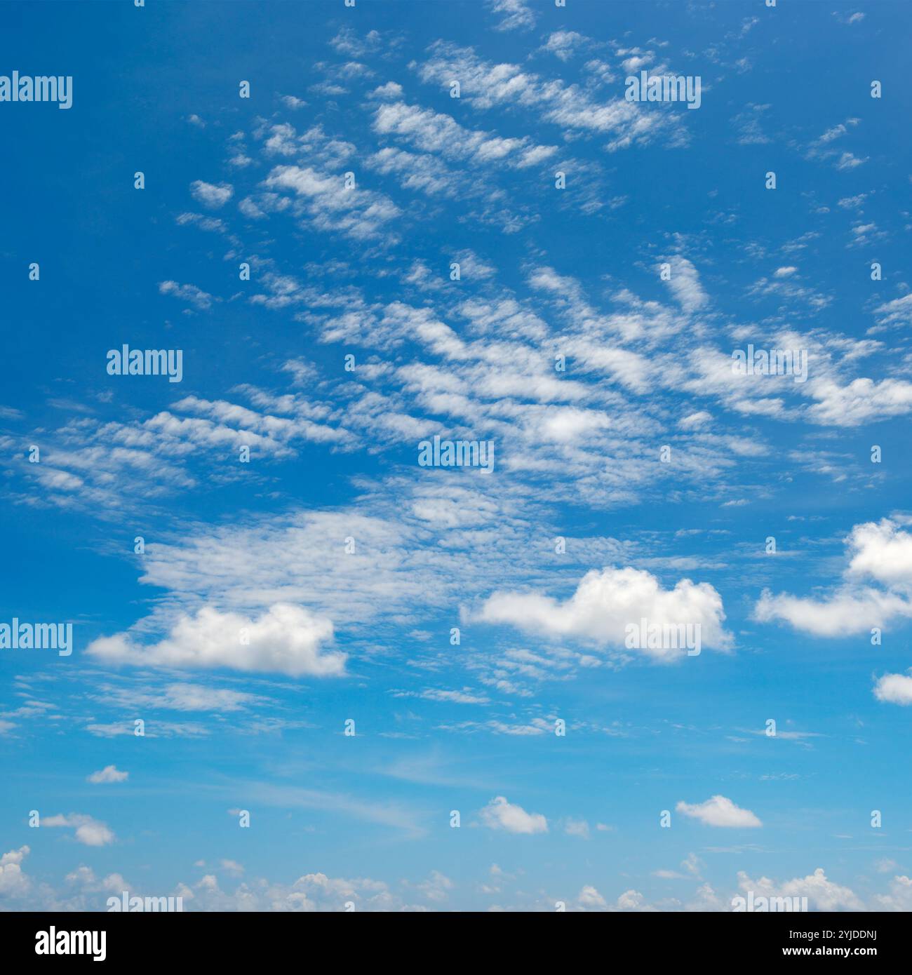 Spring nature clear blue sky hi-res stock photography and images - Alamy