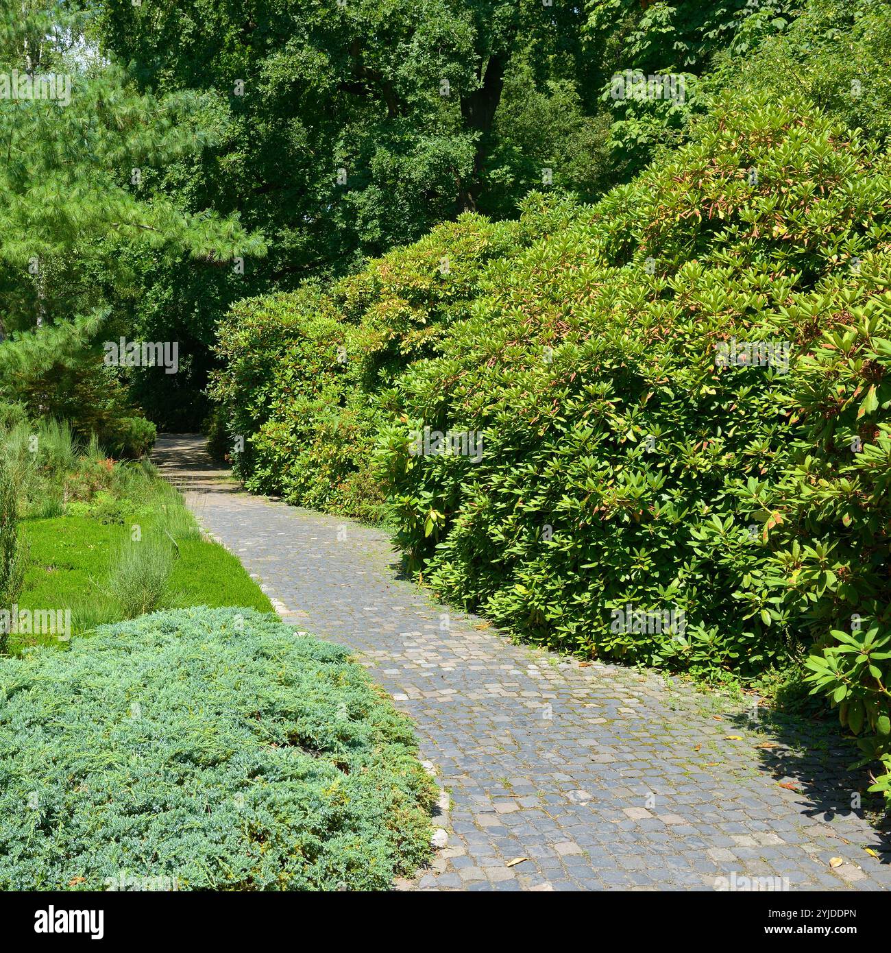Stone path in beautiful summer park Stock Photo - Alamy
