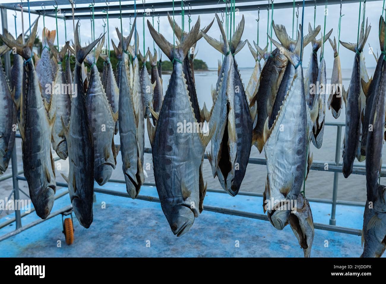 Borneo fish dish hi-res stock photography and images - Alamy