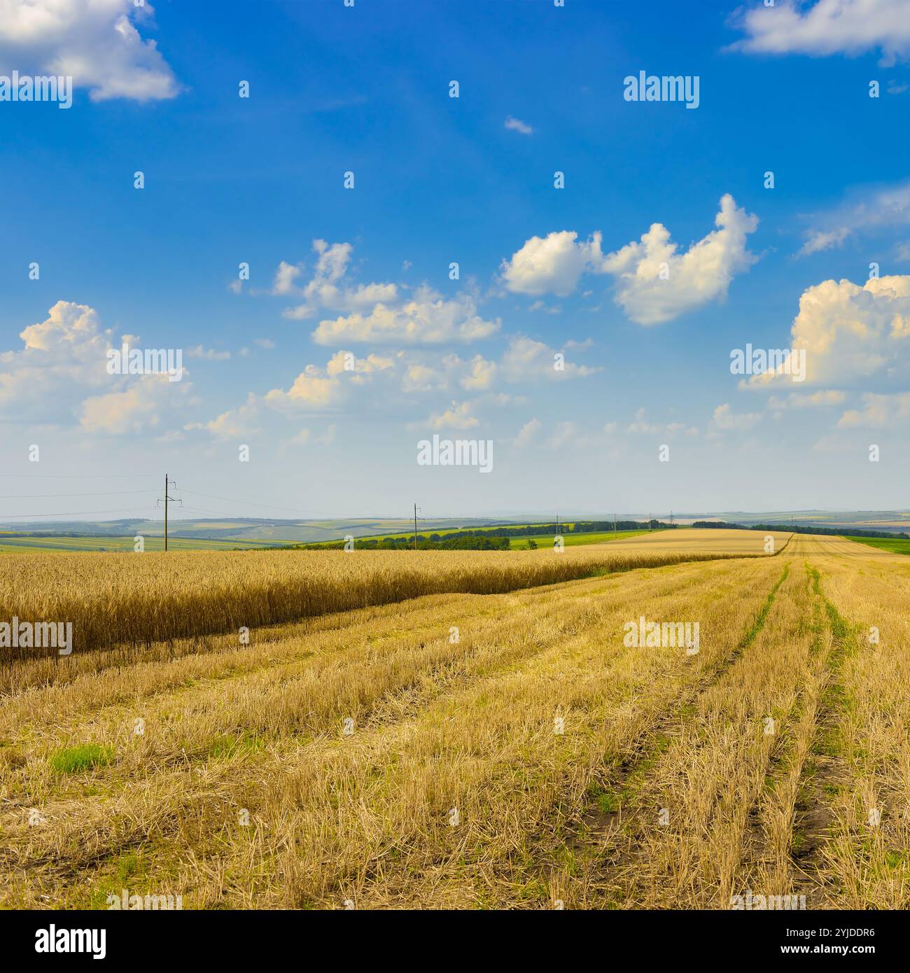 Stubble field stubble field autumn agriculture farming hi-res stock ...