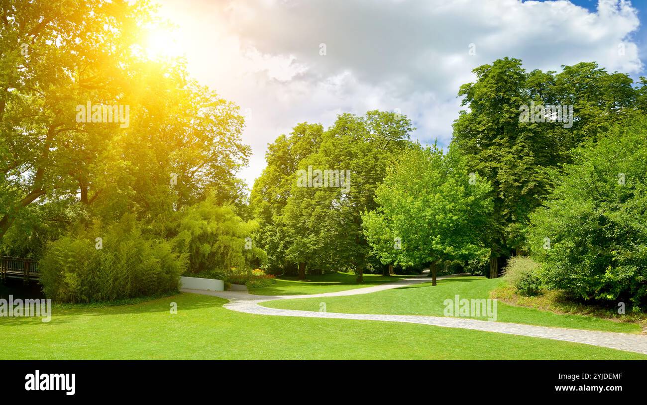Beautiful green park sun hi-res stock photography and images - Alamy
