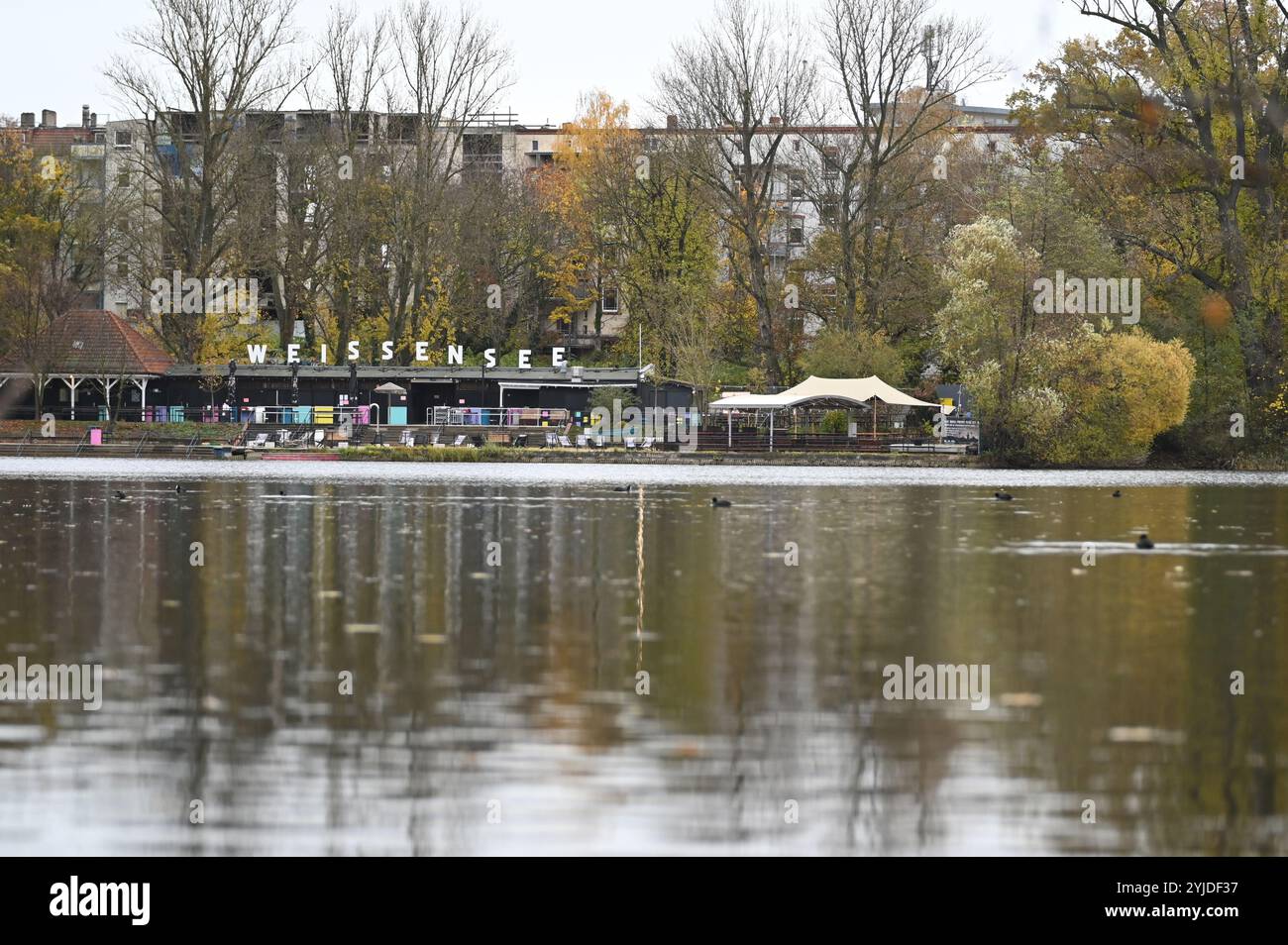 Berlin, Germany. 14th Nov, 2024. Lake Weissensee in the fall. Credit ...