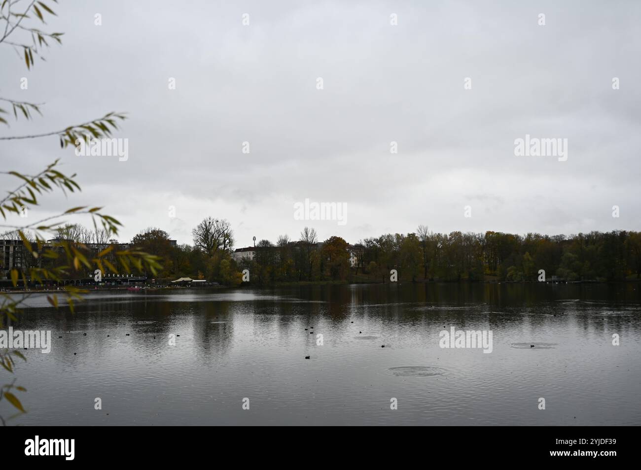 Berlin, Germany. 14th Nov, 2024. Lake Weissensee in Berlin in the fall ...
