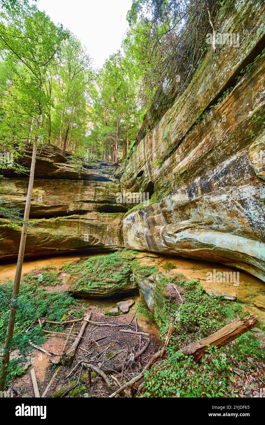 Cantwell Cliffs Rock Formations Amid Lush Forest Ground View Stock ...