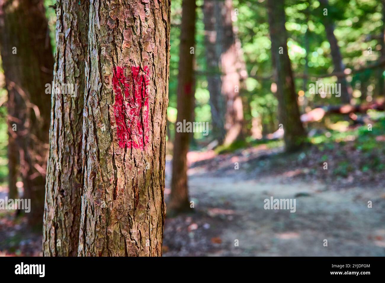 Hiking Trail Blaze in Hocking Hills Forest Path Perspective Stock Photo ...