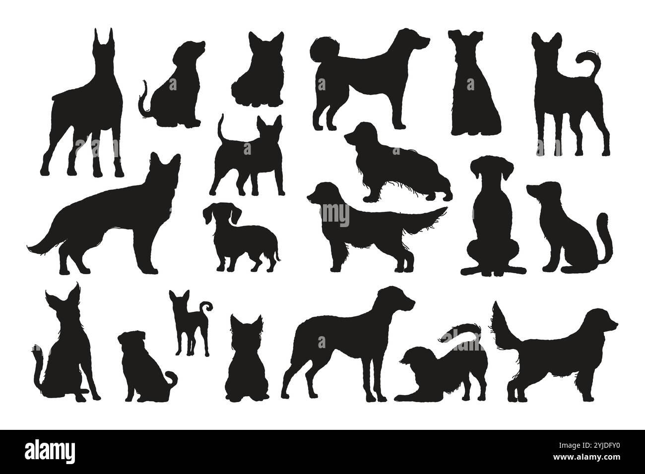 Breeds of dogs hi-res stock photography and images - Alamy