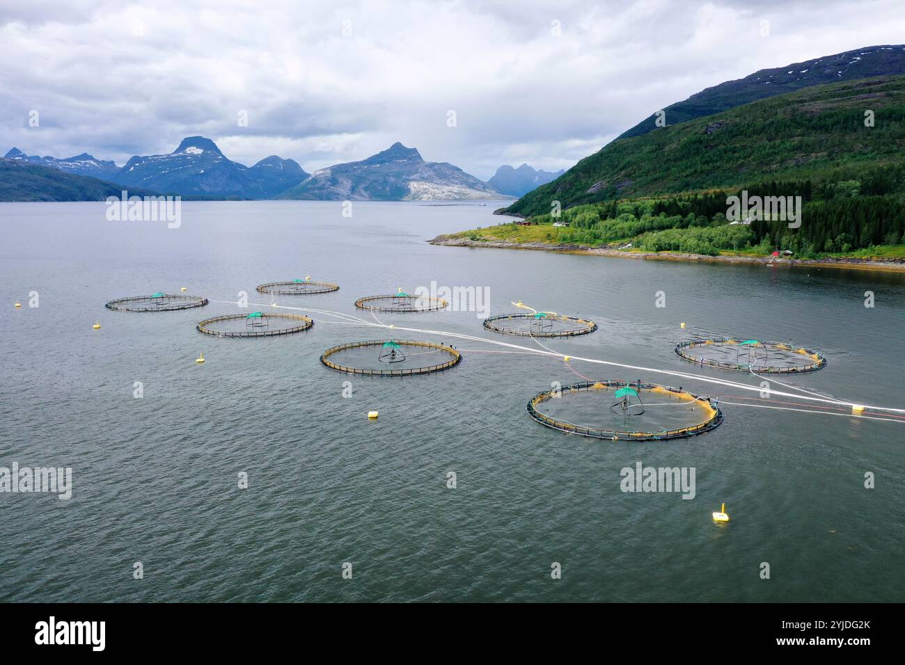 Lachszucht, Aquakultur, Aqua-Kultur, Aquafarming, Aqua-Farming ...