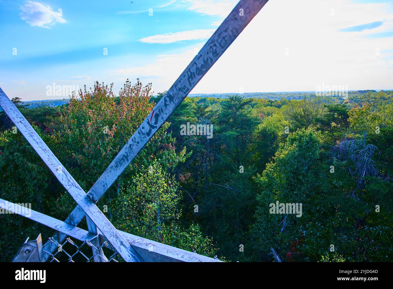 Aerial of Ash Cave Fire Tower and Lush Forest Canopy in Ohio Stock ...