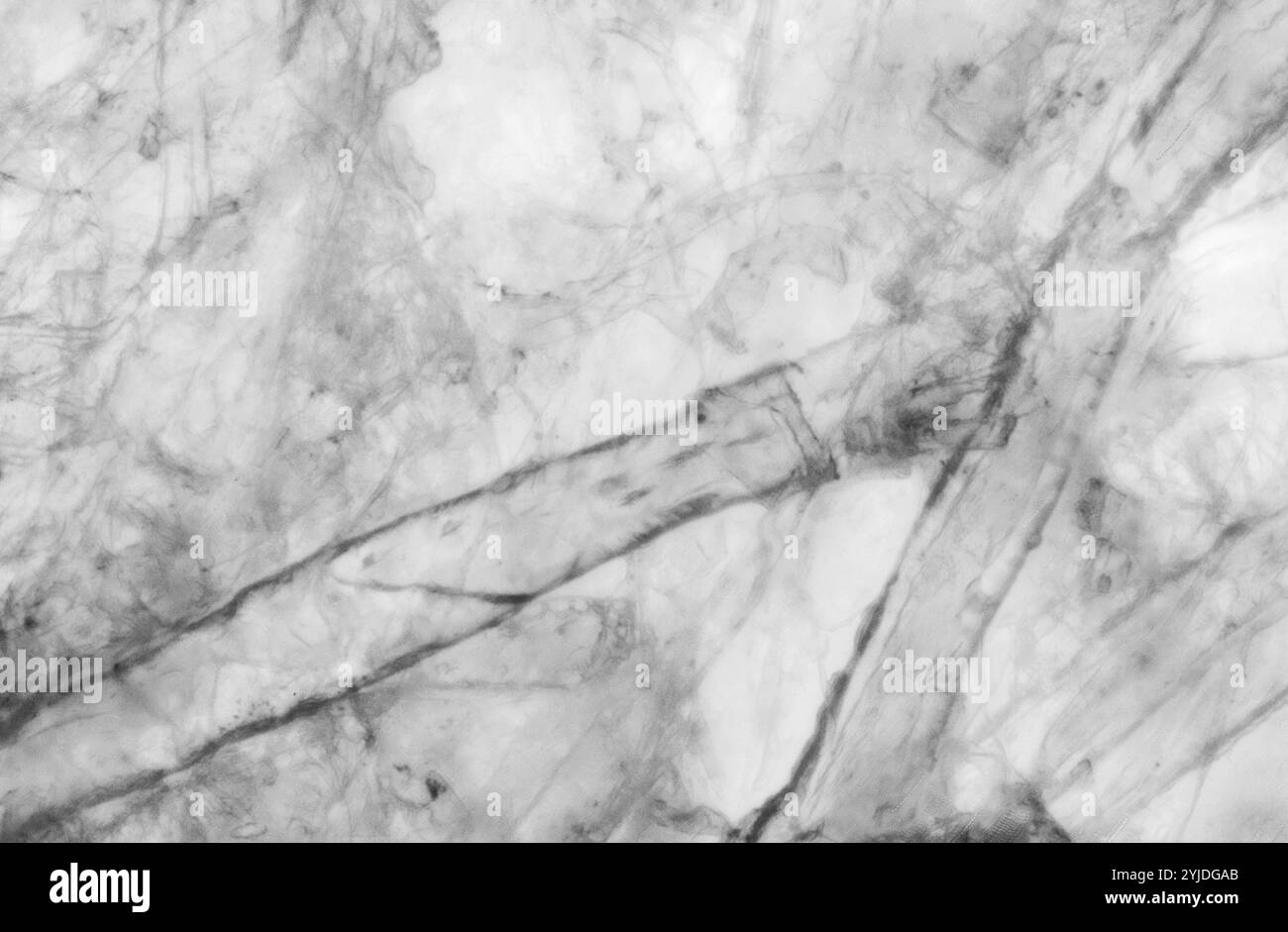 Old paper under microscope hi-res stock photography and images - Alamy