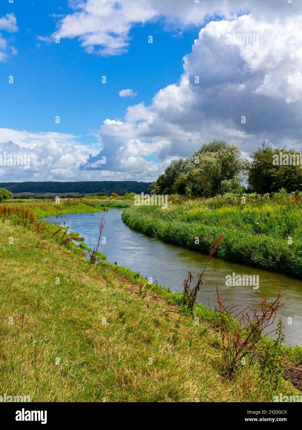 The River Parrett near Burrowbridge in summer on the Somerset Levels a ...