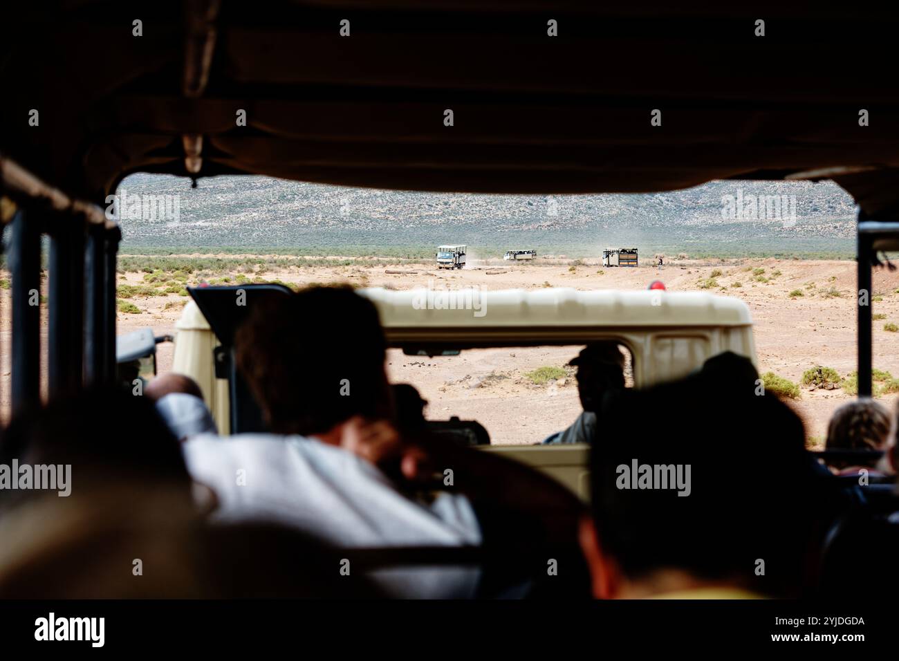 View from a Safari tour bus of other tour buses on the Aquila safari ...