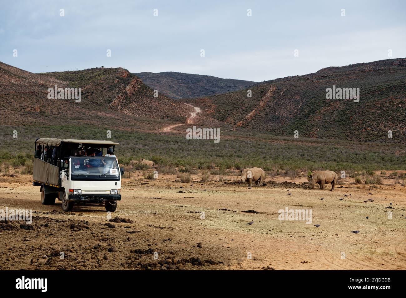 A safari tour bus at the aquila safari game reserve near Cape Town ...