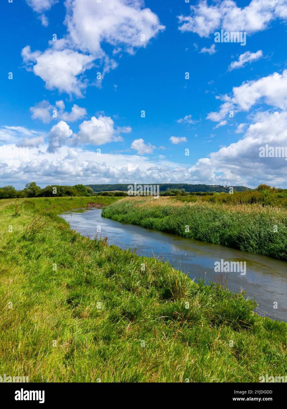The River Parrett near Burrowbridge in summer on the Somerset Levels a ...