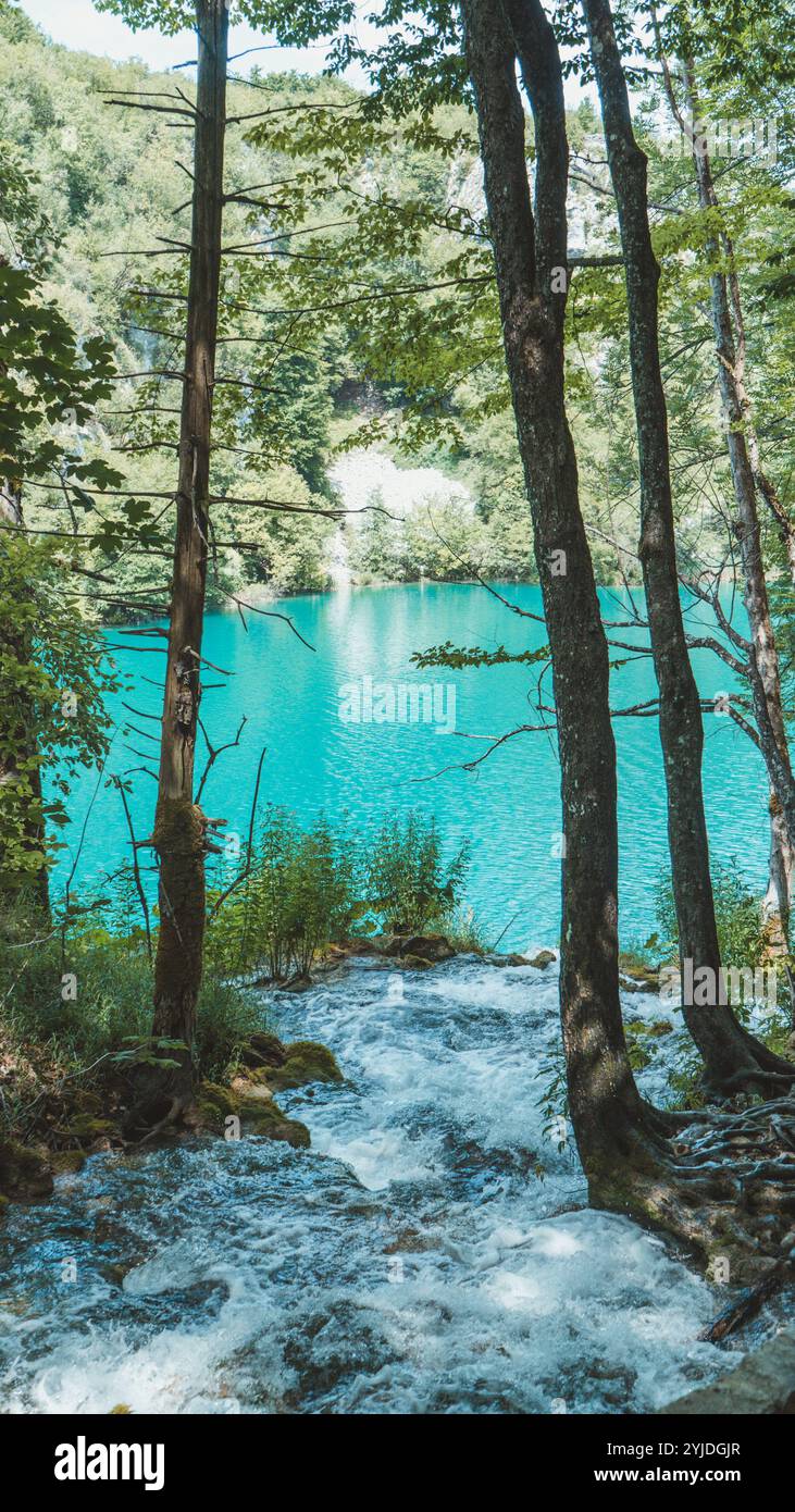 Reserve plitvice lakes hi-res stock photography and images - Alamy
