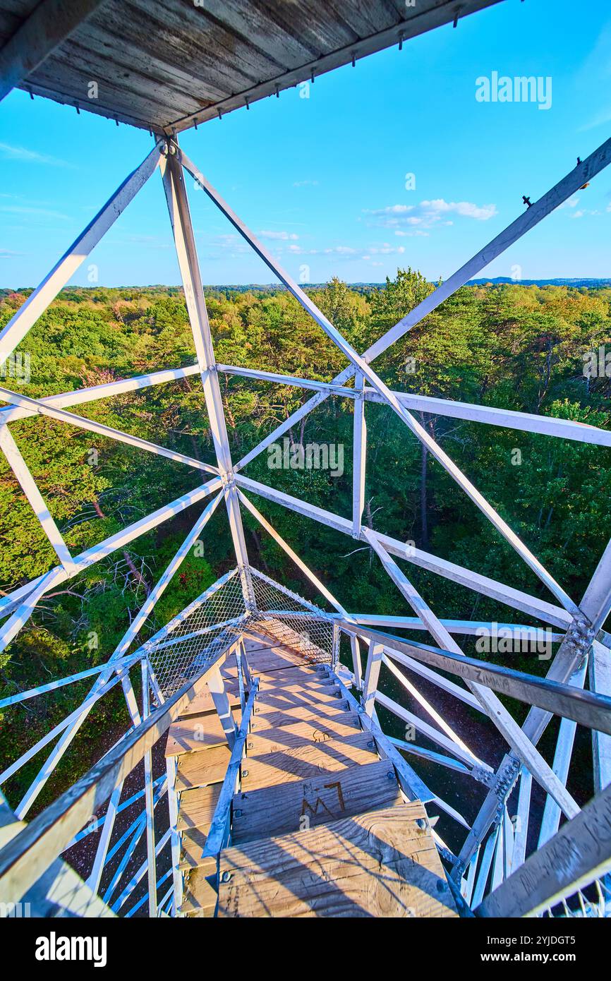 Fire Tower Overlook Lush Forest Canopy Golden Hour Perspective Stock ...