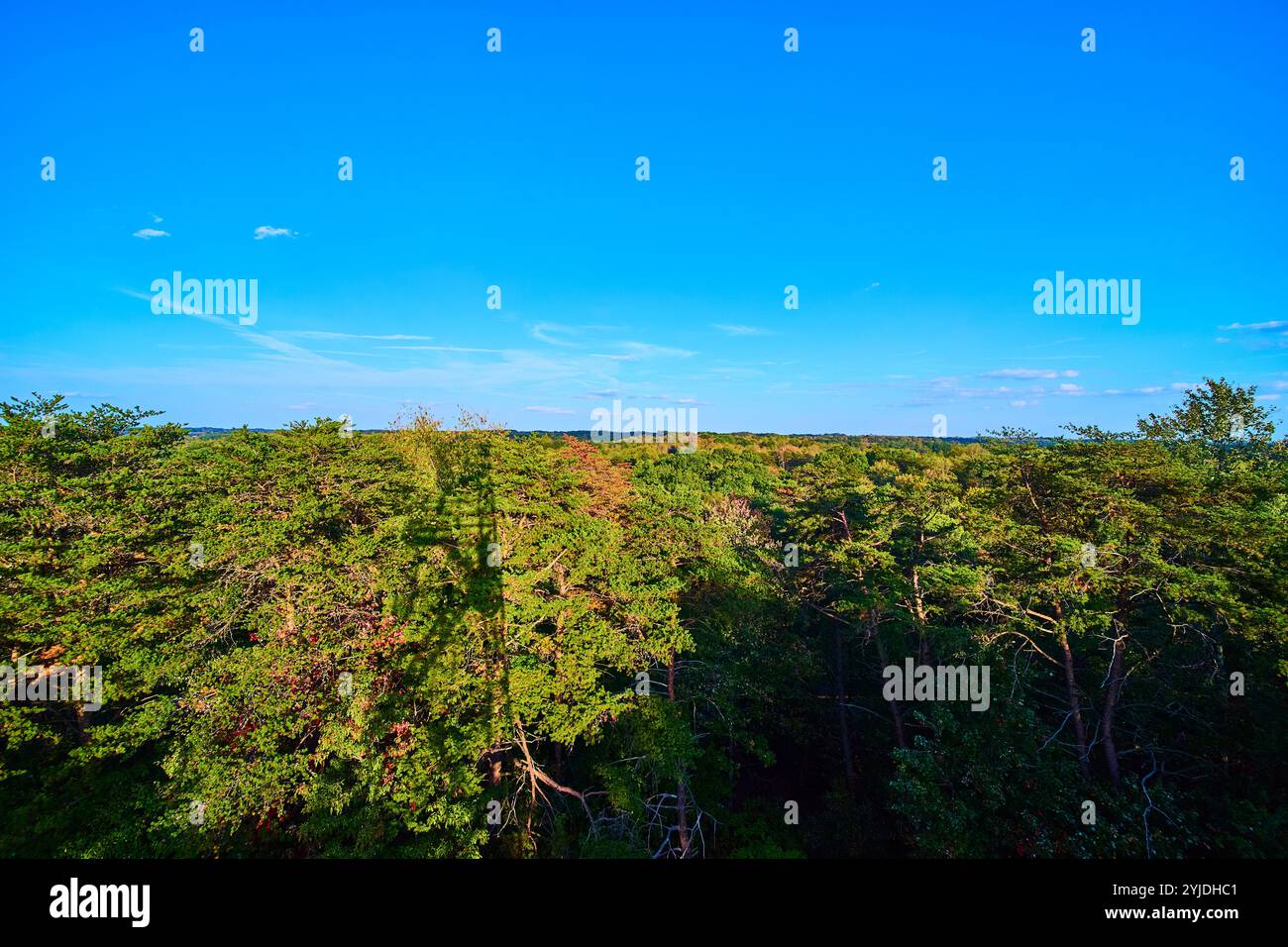 Aerial of Lush Forest Canopy in Fall Hocking Hills Ohio Stock Photo - Alamy