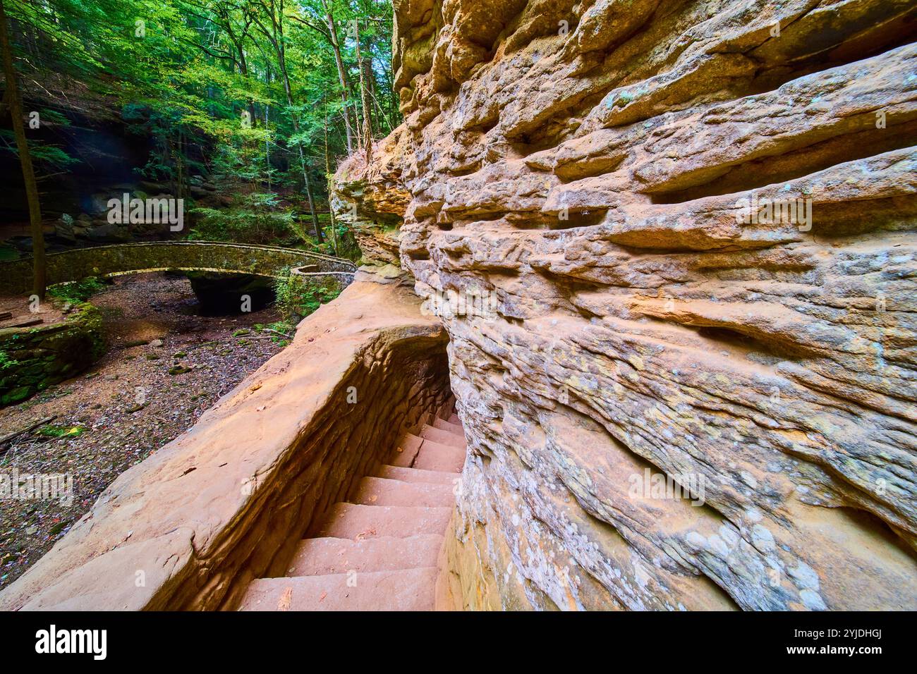 Stone Staircase and Rustic Bridge in Hocking Hills Forest Pathway View ...