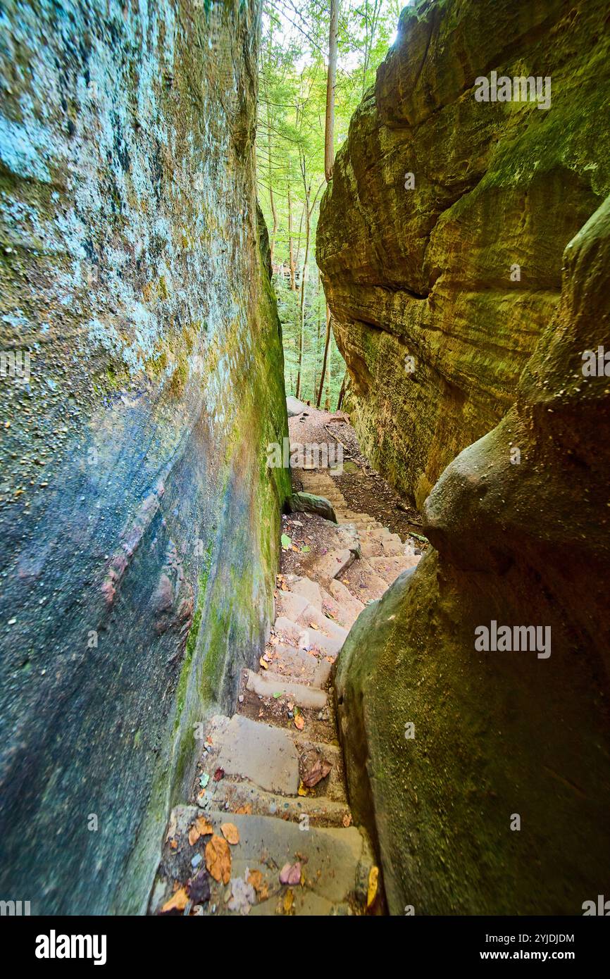 Cantwell Cliffs Stone Staircase Forest Pathway Aerial Tilt Perspective ...