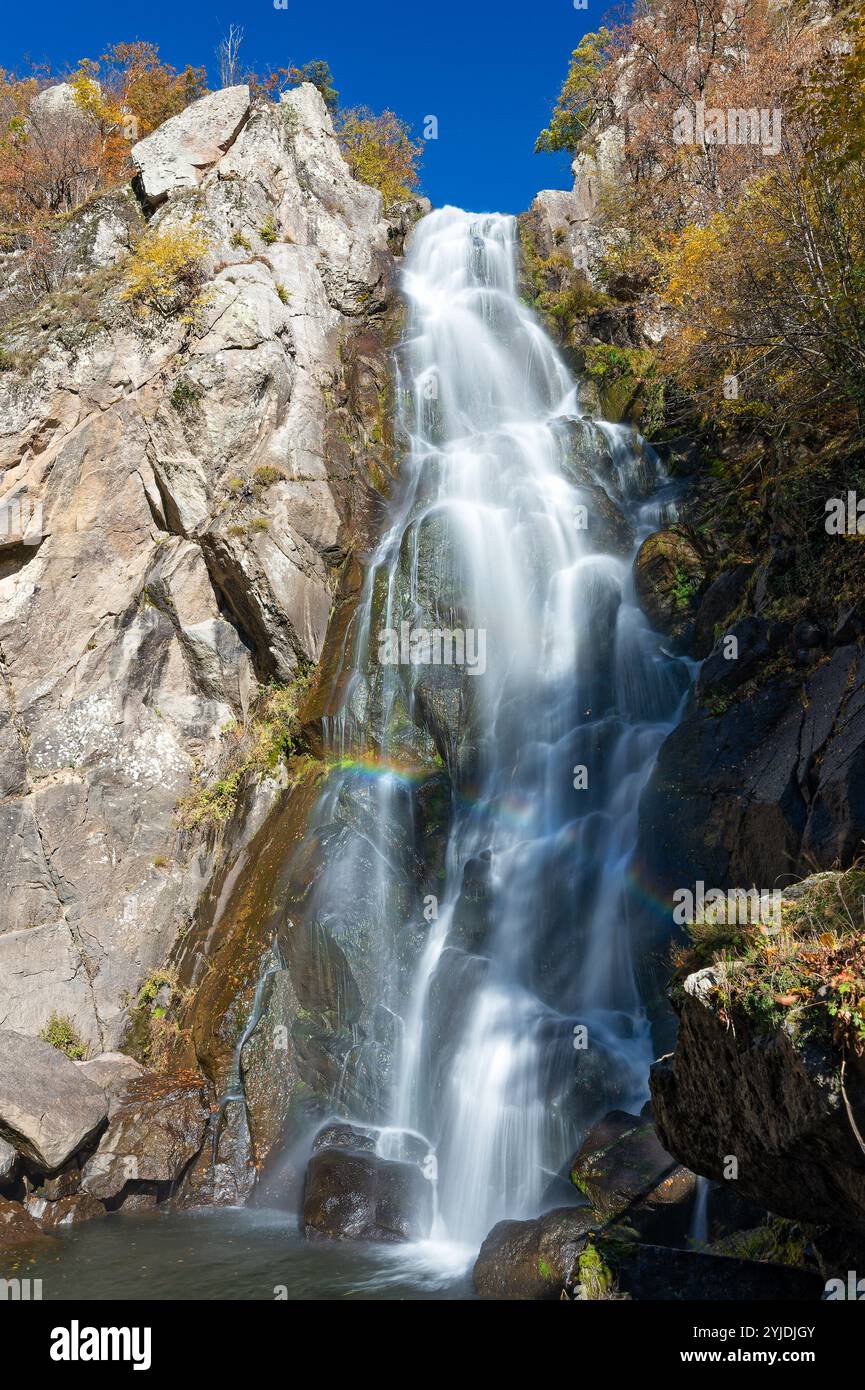 Lepidas hi-res stock photography and images - Alamy