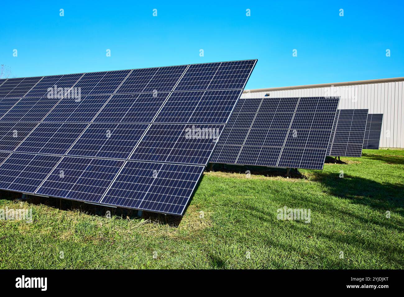 Solar Panels in Indiana Field on Sunny Day Eye-Level View Stock Photo ...