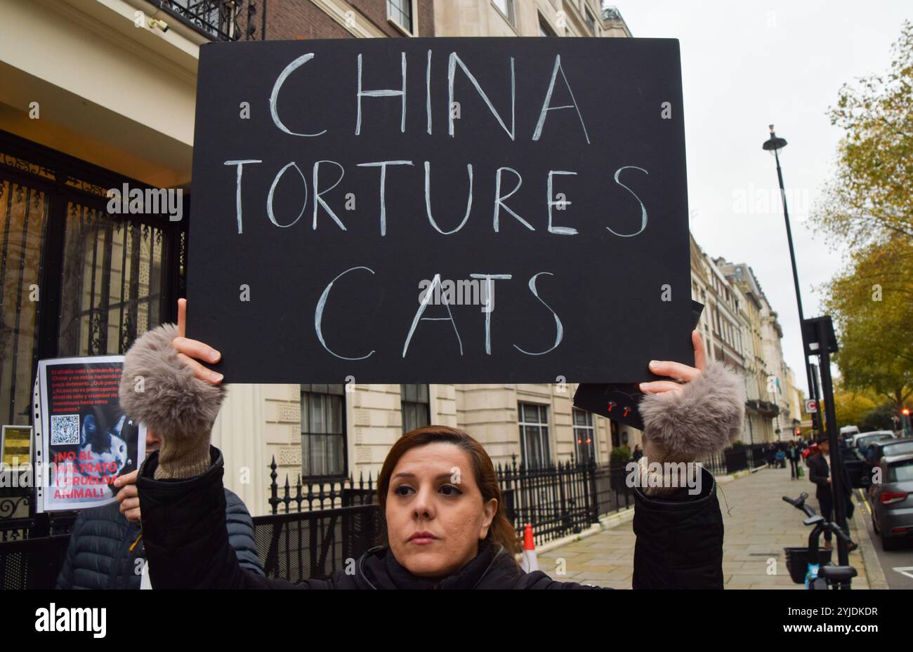 London, UK. 14th November 2024. Protesters gather outside the Chinese ...
