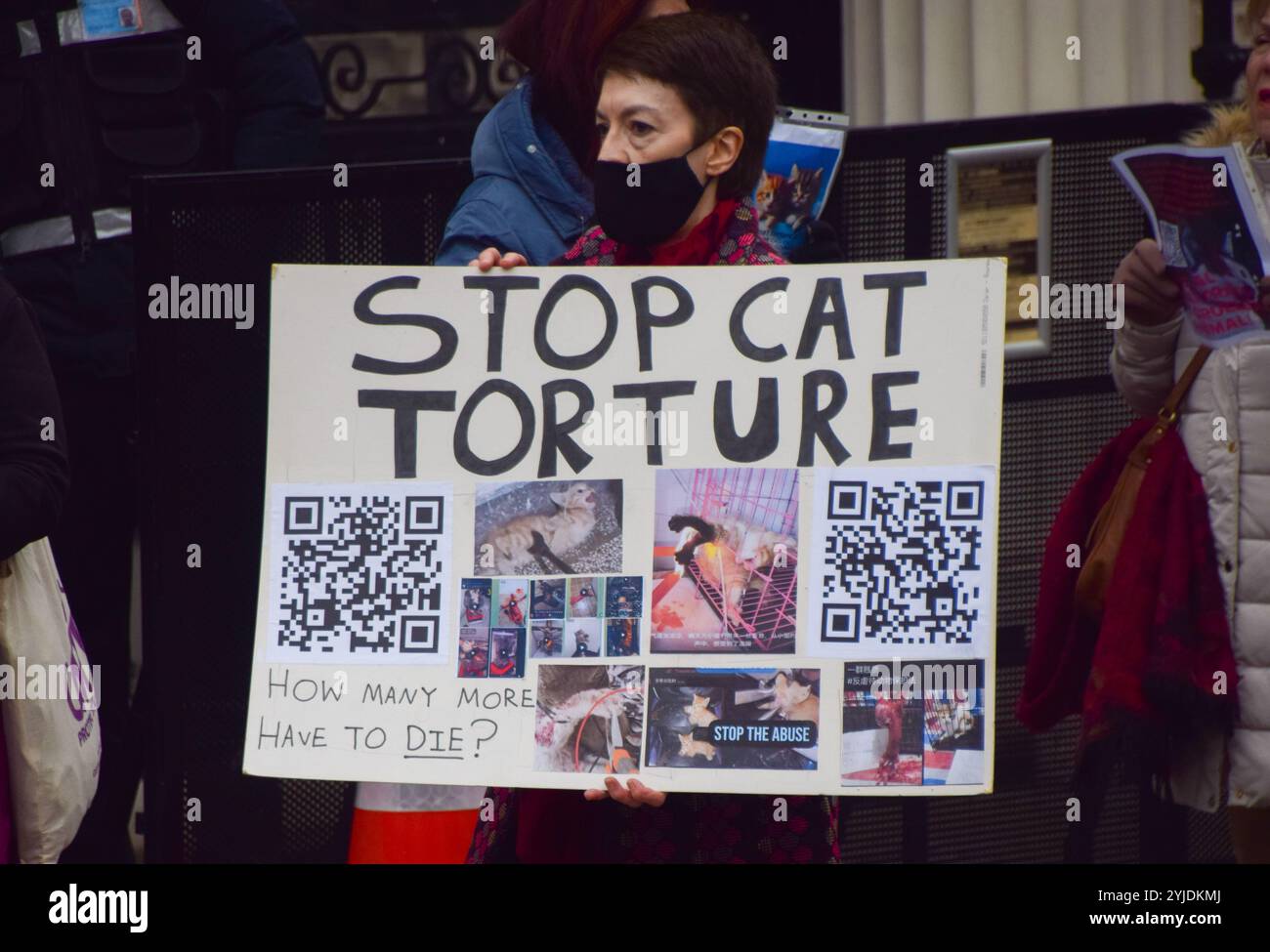 London, UK. 14th November 2024. Protesters gather outside the Chinese ...