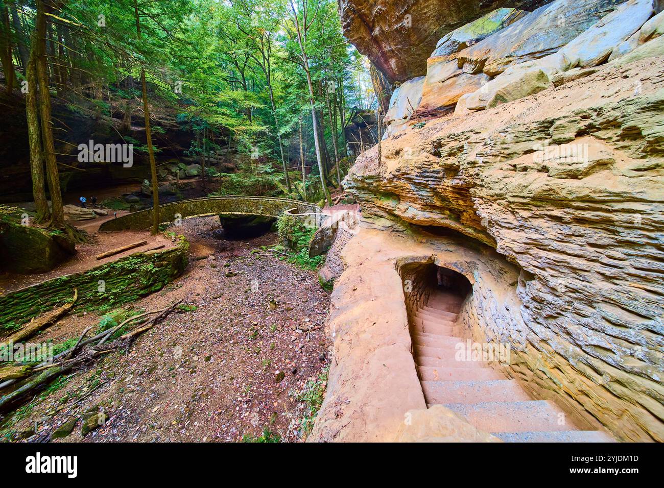 Rustic Stone Bridge in Lush Forest Old Mans Cave Trail Eye Level View ...