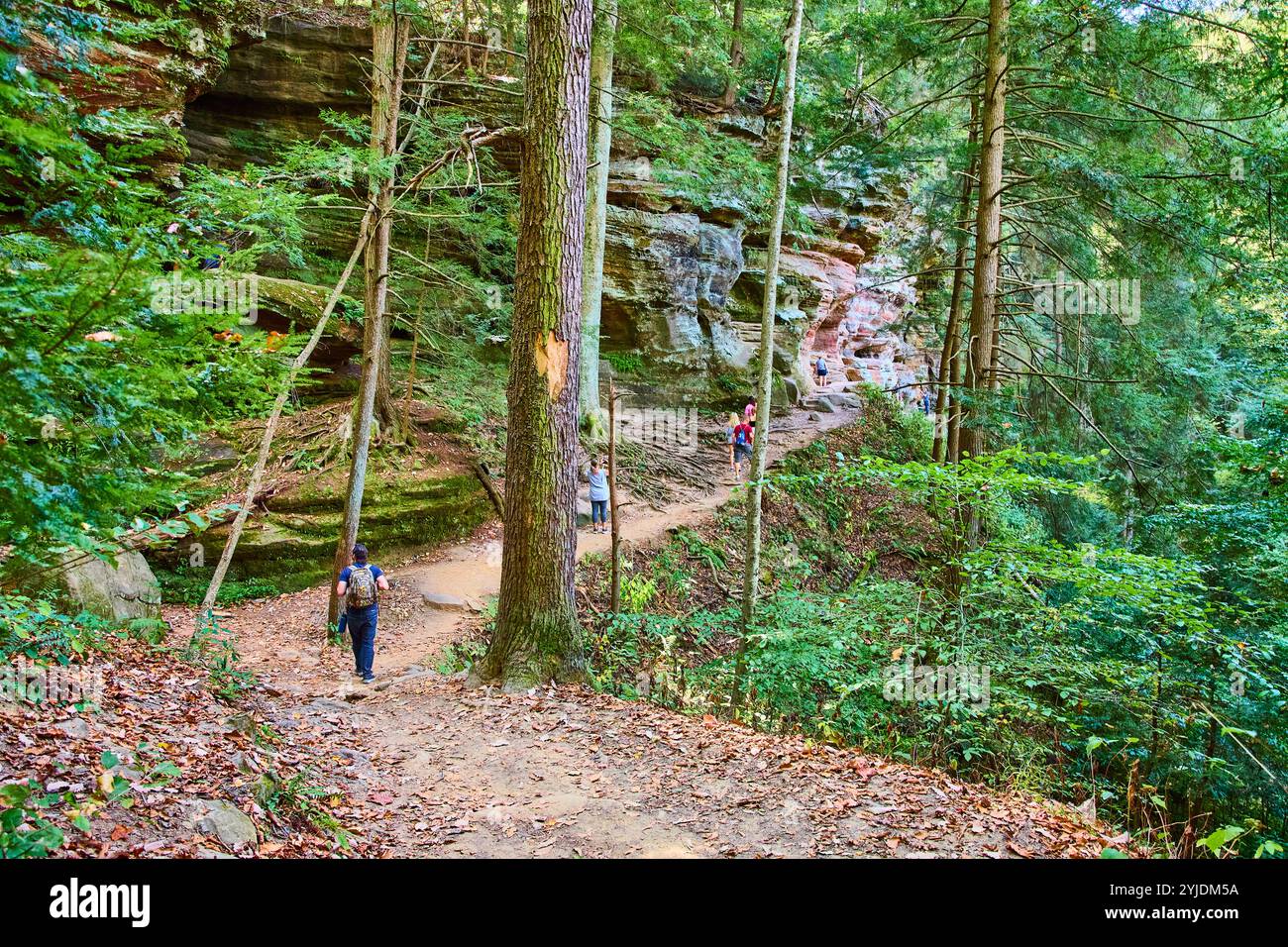 Hiking Adventure in Hocking Hills Forest Canopy View Stock Photo - Alamy