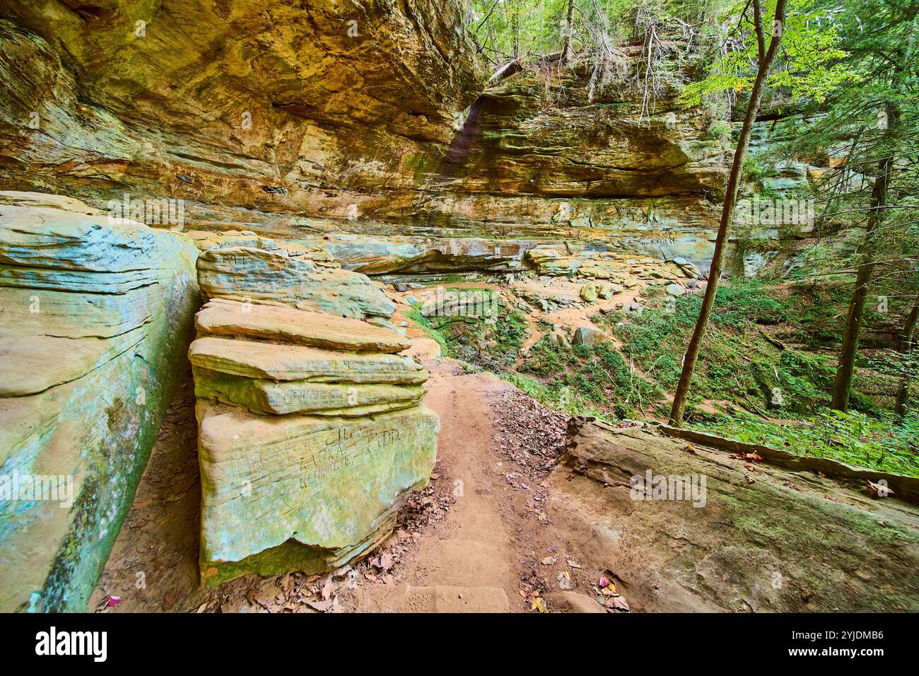 Cantwell Cliffs Sedimentary Rock Path with Forest Backdrop Eye Level ...